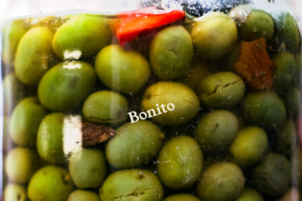 Bonito